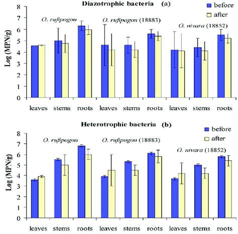 Population Of Endophytic Diazotrophic Bacteria A And Heterotrophic