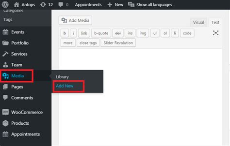 Add Media In Wordpress W3schools
