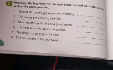 Underline The Incorrect Verb In Each Sentence Studyx