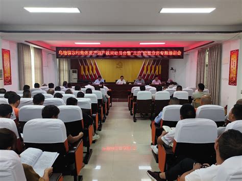 乌塘镇政府召开工作会议遂溪县人民政府公众网站
