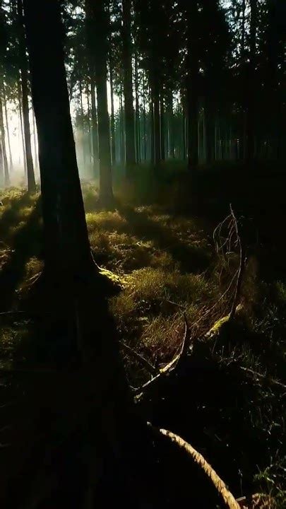 Morning Cruise After First Camping This Year Youtube