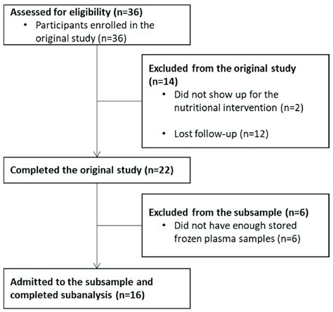 consort flow diagram of the subsampling process download scientific