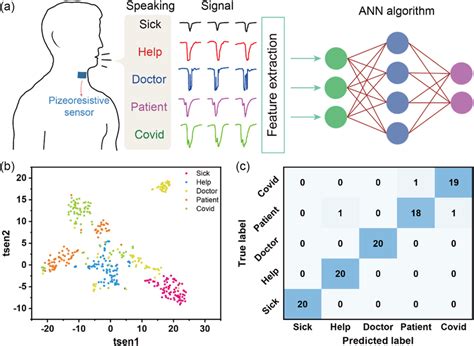 a schematic diagram of the speech recognition process b cluster