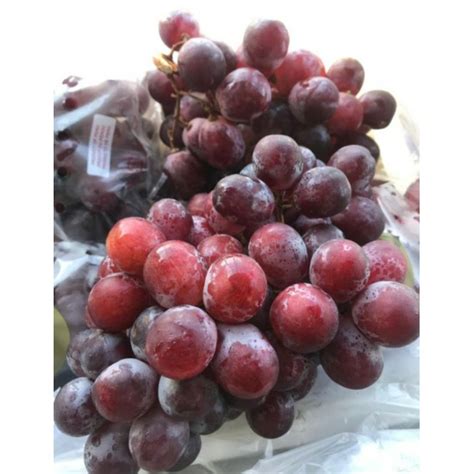 Jual Anggur Red Globe Peru Jumbo 1 Kg Shopee Indonesia