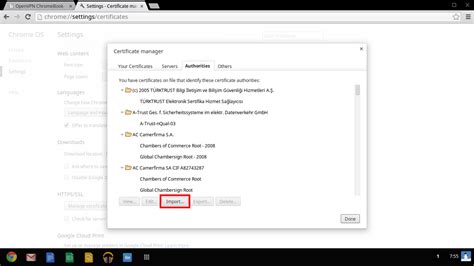 OpenVPN ChromeBook BTGuard Wiki OpenVPN ChromeBook BTGuard Wiki