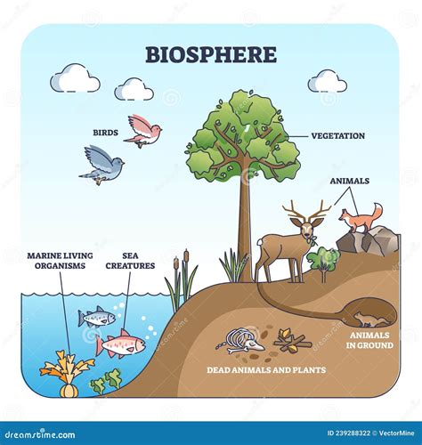 Biosphere Examples