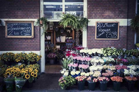 国外花卉发展现状及前景以下信息要了解!加盟星百度招商加盟服务平台 国外花卉发展现状及前景以下信息要了解!加盟星百度招商加盟服务平台