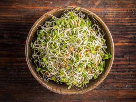 11 Best Benefits Of Sprouts Organic Facts