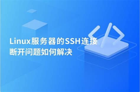 Linux服务器的SSH连接断开问题如何解决 PingCode