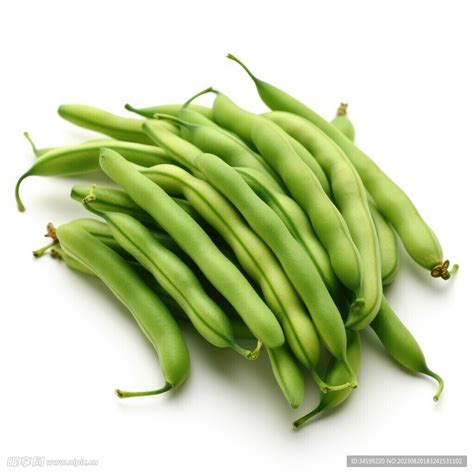 四季豆摄影图 蔬菜 生物世界 摄影图库 昵图网