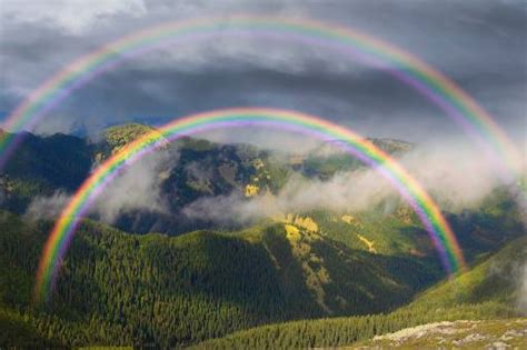 Double Rainbow Meme