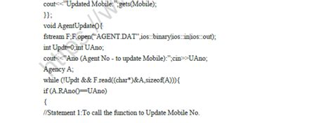 Cbse Class 12 Computer Science Data File Handling Worksheet