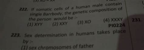 P10224 223 Sex Determination In Humans Takes Place By Filo