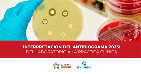 Interpretación Del Antibiograma 2023 Del Laboratorio A La Práctica Clínica