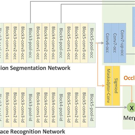 Structure Of The Proposed Simultaneous Occlusion‐invariant Deep Network