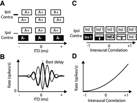 Noise Delay Nd And Interaural Correlation Stimulus Configurations And Download Scientific