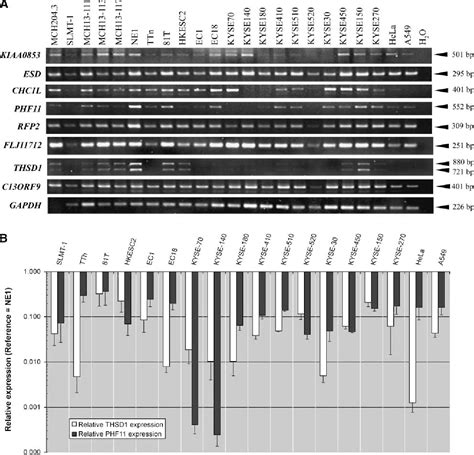 Figure 3 From Monochromosome Transfer And Microarray Analysis Identify A Critical Tumor