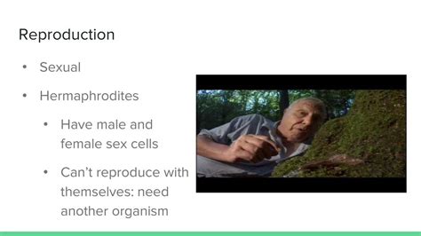 Hannah Liotta Sophia Roy Tanner Moore Cadan Miller Ppt Download