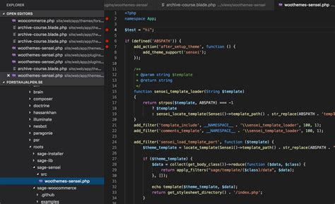 sage 9 sensei plugin woocommerce templating sage roots discourse