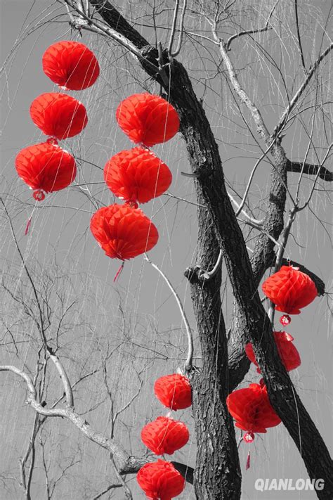 大红灯笼高高挂 红红火火迎新年 中国网