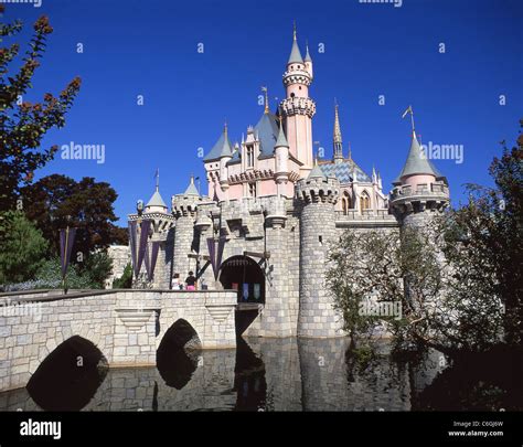 Cinderella Castle Disneyland
