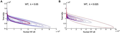 Stochastic Versus Deterministic Solutions For WT Cells A L Download Scientific Diagram