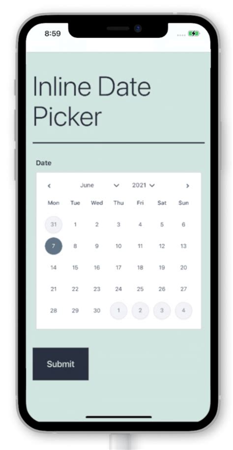 6 Tips To Perfect Your Gravity Forms Datepicker Gravity Wiz