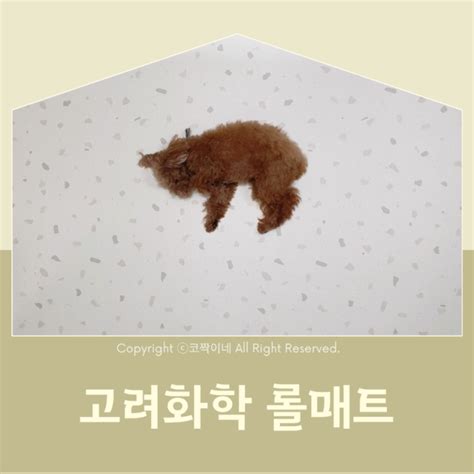 고려화학매트 친환경 아기롤매트 유아바닥매트 층간소음방지 아이놀이매트 추천 네이버 블로그