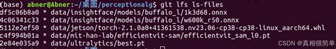 大文件版本管理git Lfs Csdn博客 大文件版本管理git Lfs Csdn博客