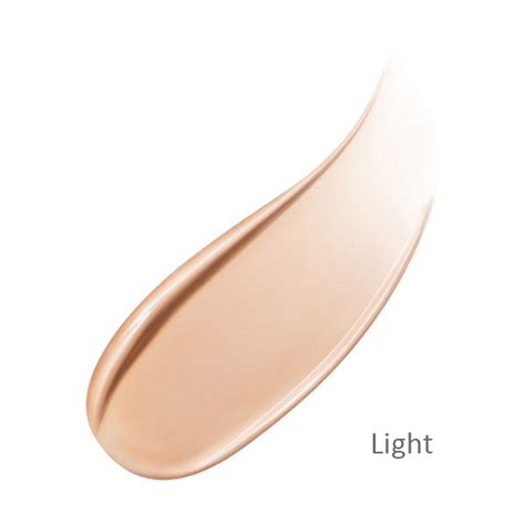 Shiseido Maquillage Dramatic Concealer