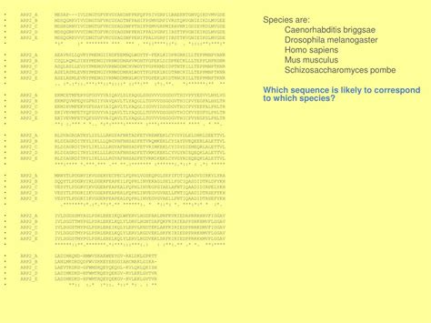 Ppt Phylogenetic Analysis Powerpoint Presentation Free Download Id
