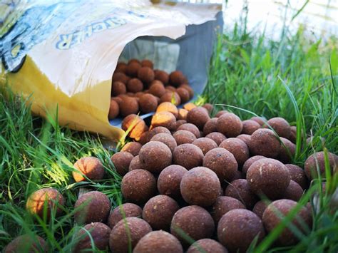 KoneČne Sumec 🐟🐟 Martin Sa Už Nejakú Tu Dobu Pokúšal Chytiť Pekného Sumca A Teraz Sa Mu To