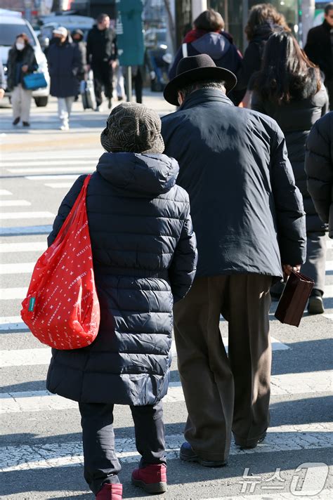 올해부터 월 소득 228만 원 이하면 기초연금 받는다 뉴스1