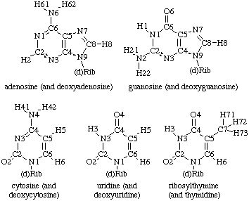 An RNA Structure Primer