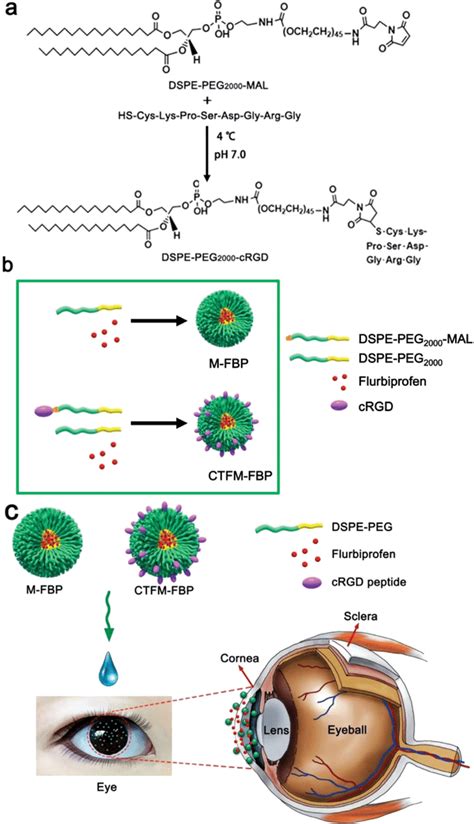 Formulation And Application Of Flurbiprofen Sodium Fbp ‐encapsulated Download Scientific