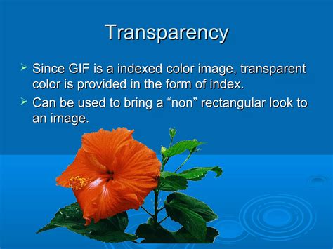 Image Formats And Codecs Ppt