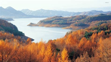 Chungjuho Lake Surrounded By Rusty Forest Wallpaper Nature Wallpapers
