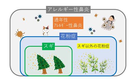 「2人に1人」はアレルギー性鼻炎（特に花粉症が増えています） 西宮のわしお耳鼻咽喉科