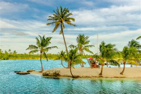 The Tropical Flavors Of The Cayman Islands