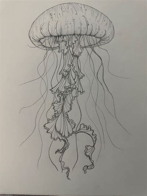 Original Jellyfish Sketch Art Drawings Sketches Simple Book Art Drawings Doodle Art Designs
