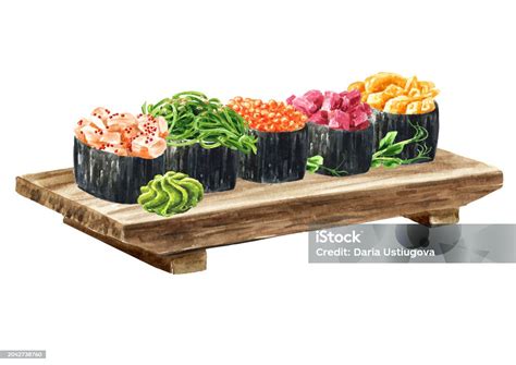 다양한 종류의 충전재가 들어간 Gunkan Maki 초밥 세트 손으로 그린 수채화 그림 흰색 배경에 고립 간장에 대한 스톡 벡터