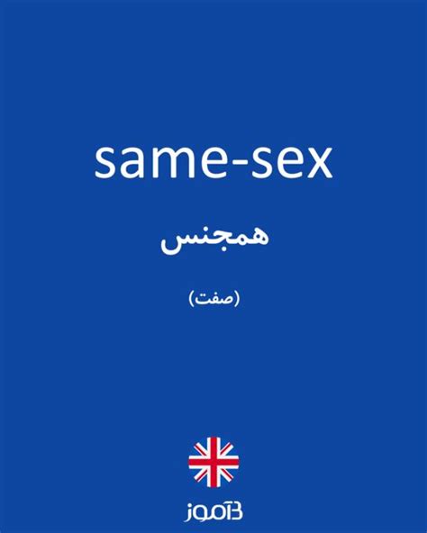 ترجمه کلمه Same Sex به فارسی دیکشنری انگلیسی بیاموز