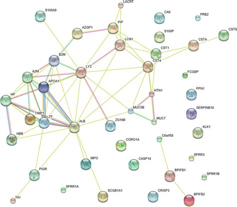 functional interaction networks of target proteins validated by mrm