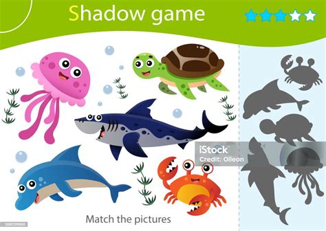 아이들을위한 그림자 게임 올바른 그림자를 일치시다 해파리 거북이 돌고래 게 상어의 색상 이미지 해양 생물 어린이와 미취학 아동을위한 워크 시트 벡터 디자인 해양 생물에 대한