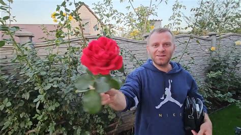 Приехал Домой Бабушка Выходит Замуж Самвел Приготовил Букет 💐 Youtube