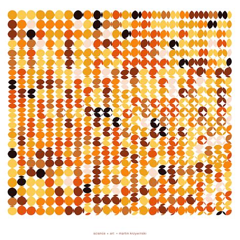 Martin Krzywinski Pi Approximation Day Art Posters Canada S Michael Smith Genome Sciences Centre