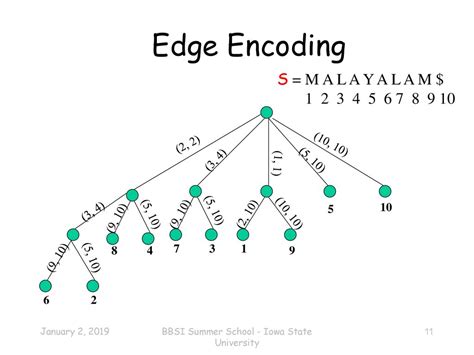 String Data Structures And Algorithms Ppt Download