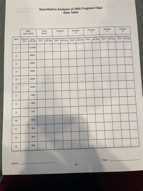 Quantitative Analysis Of Dna Fragment Size Data Table