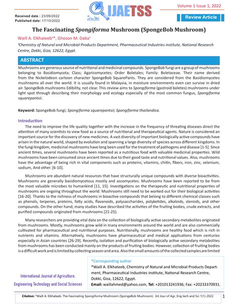 Pdf The Fascinating Sponorma Mushroom Spongebob Mushroom