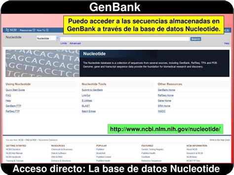 Ppt International Nucleotide Sequence Database Collaboration Powerpoint Presentation Id 5726514